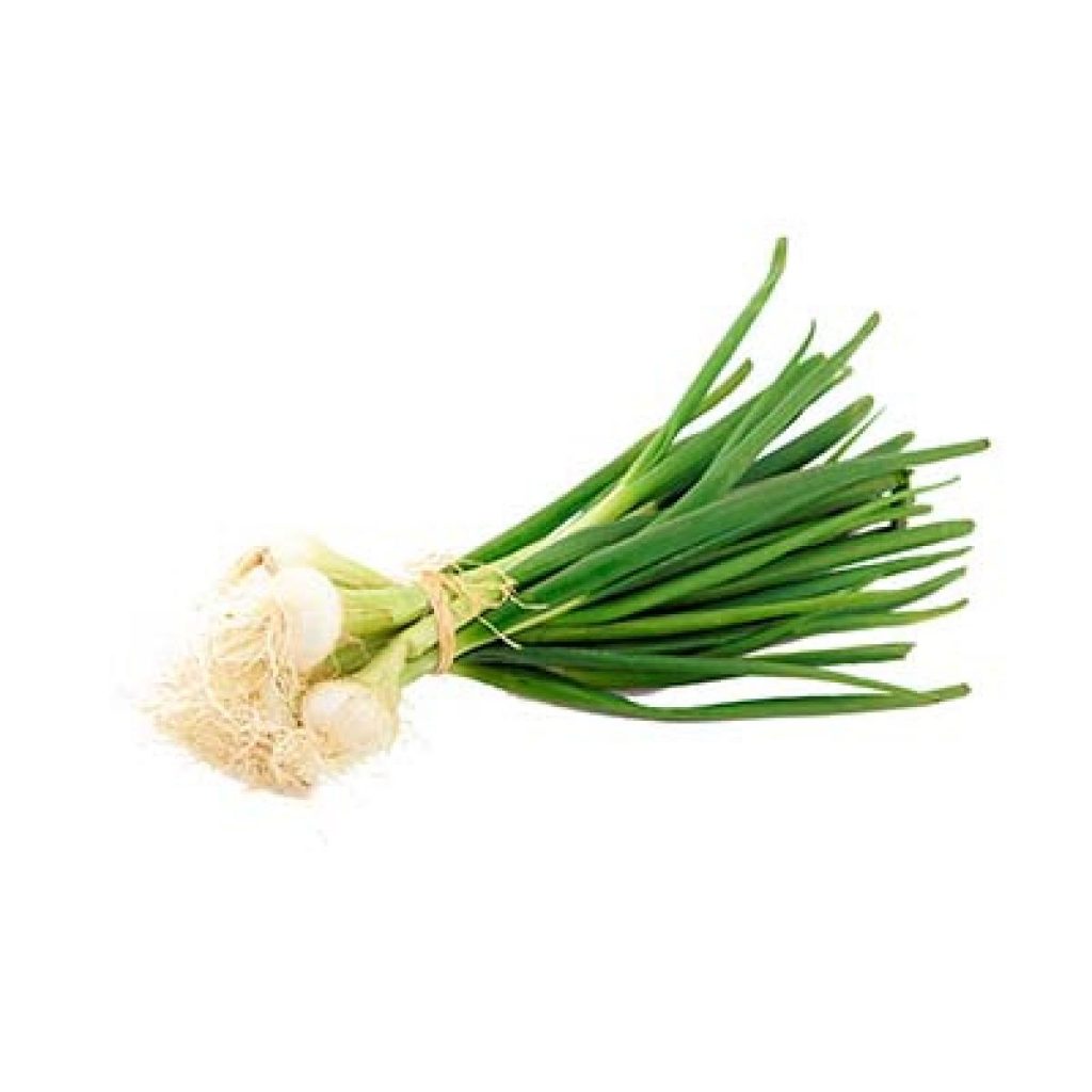 OIGNON FRAIS LA BOTTE - Boutique CABF